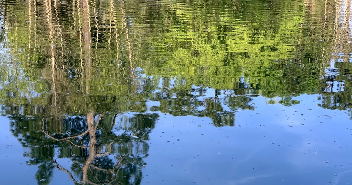 Serenity Passage | End-of-Life Doula in Columbia, MO